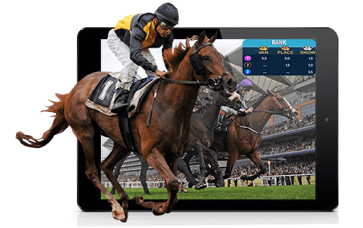 Best Horse Racing Handicapping Software | AIS Technolabs
